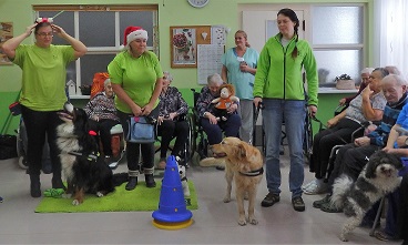 Podane-ruce-canisterapie